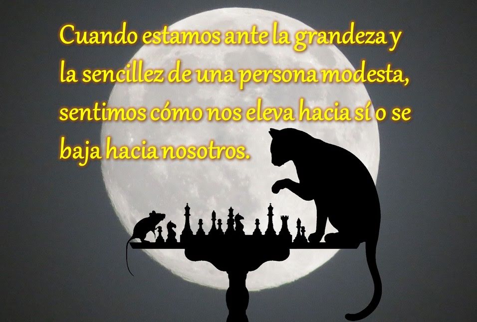 Si yo cambio, todo cambia: Valores con mayúsculas: Modestia