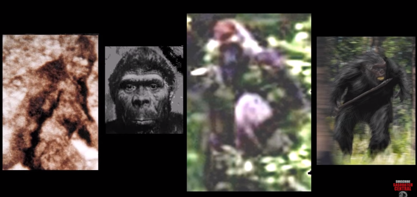 The Crypto Blast: The 4 different types of Sasquatch