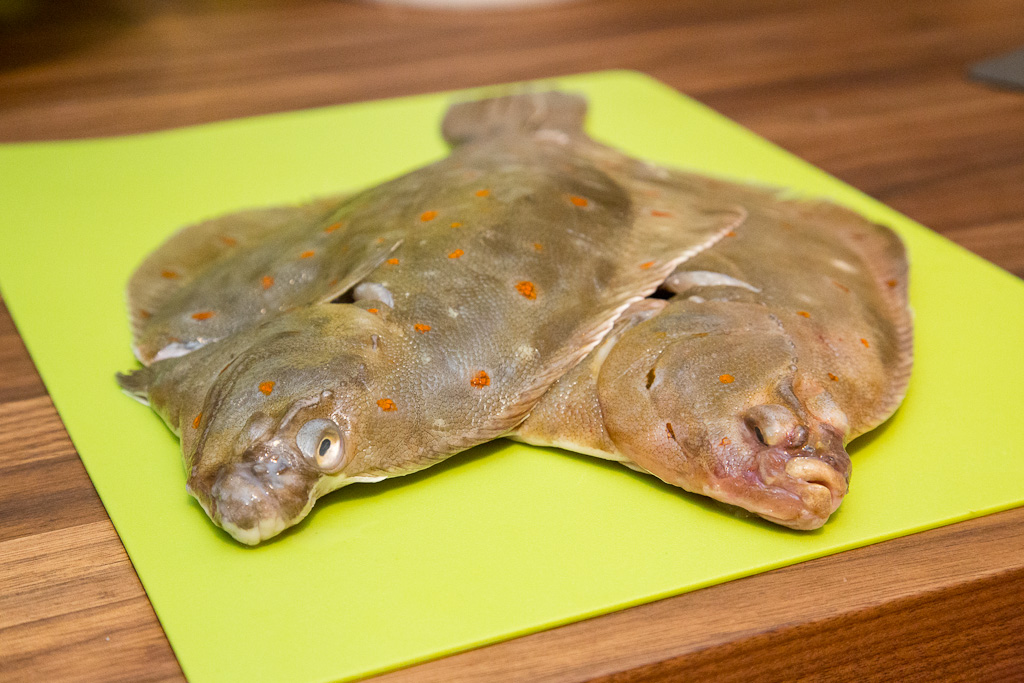 Siskot kokkaa: Kampelaa ja tomaatti-kapriskastiketta