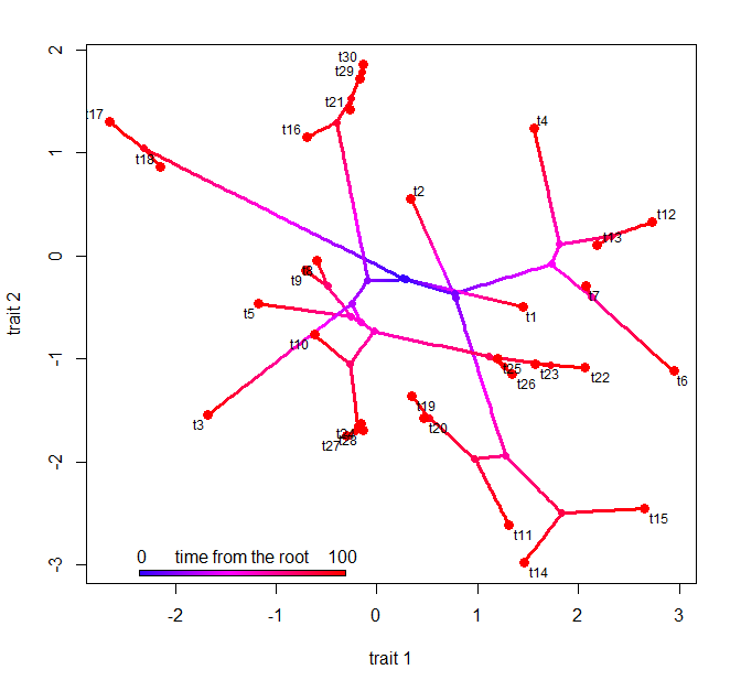 Phylogenetic Tools for Comparative Biology: Phylomorphospace with time ...
