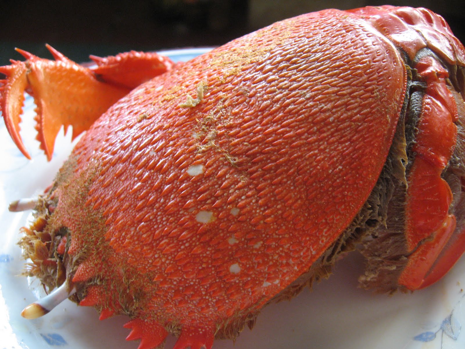 Eileen's Cooking and Eating Adventures: Curacha