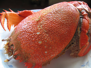 Eileen's Cooking and Eating Adventures: Curacha