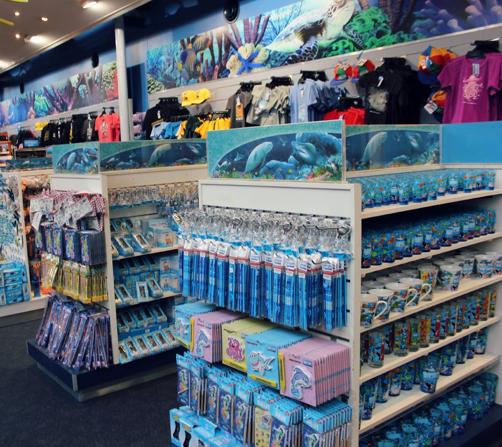 306 Days Sydney: Real Life Finding Nemo