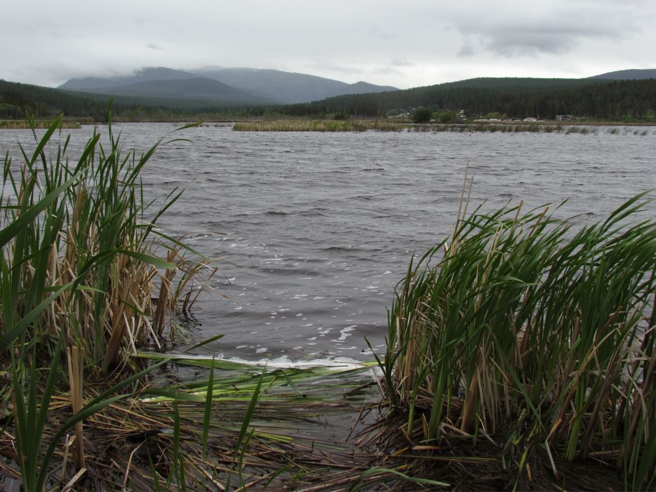 The Cranbrook Guardian: Thanks to Habitat Conservation Trust Foundation ...
