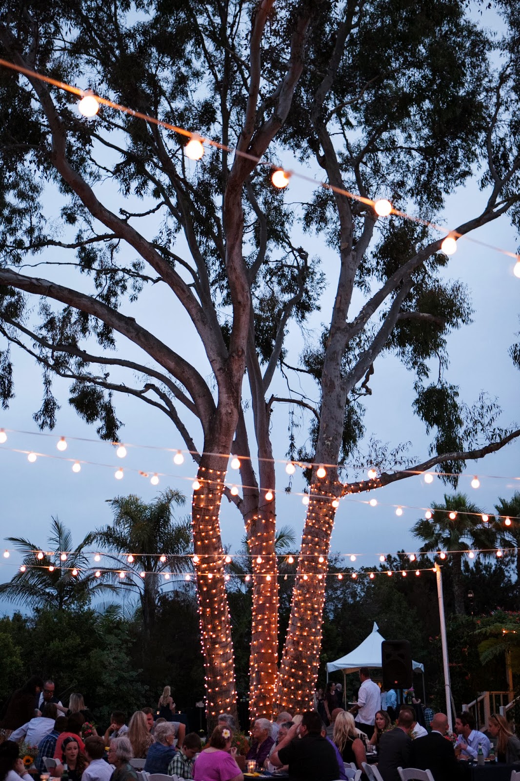 Enchanted Events & Design