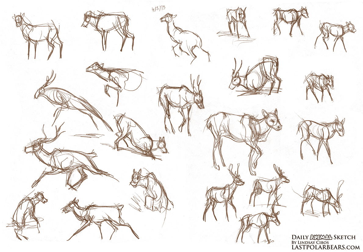 Lindsay Cibos' Art Blog: Daily Animal Sketch – Wolves and Caribou