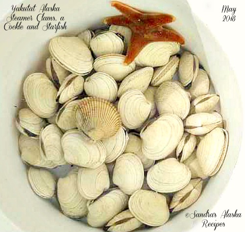 Sandra's Alaska Recipes: SANDRA'S ALASKA STEAMER CLAMS in a GARLIC ...