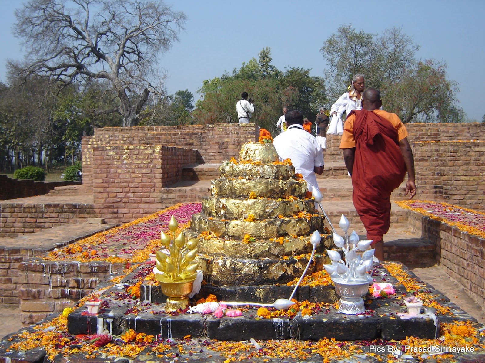 Pilgrimage to Dambadiva 2012