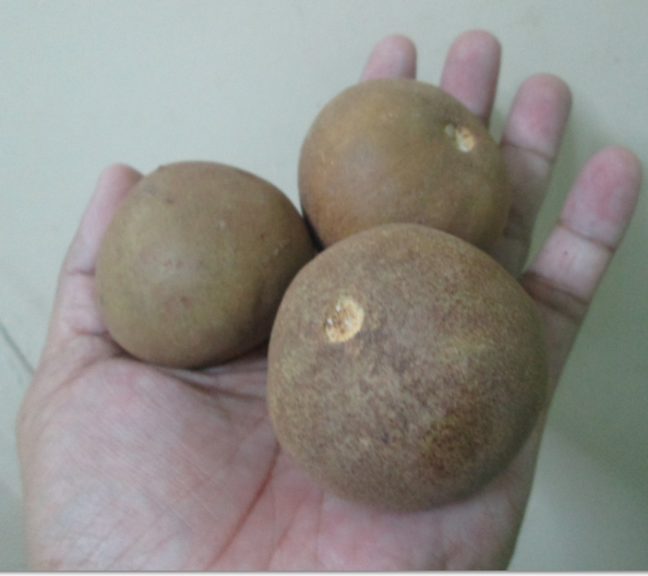 INSPIRING JOURNEY: BENEFITS OF CHICO