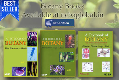 Online Bookstore | Indian Online Bookstore | Buy Books Online: A ...