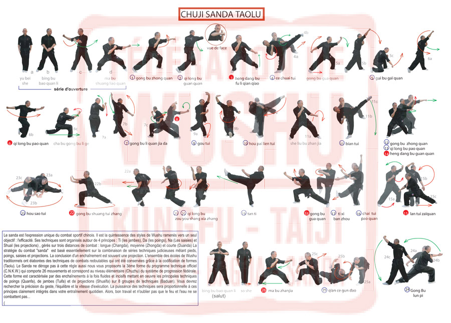 WUSHU: SANDA. FORMAS PARA EL APRENDIZAJE DE LAS BASES DE SANDA