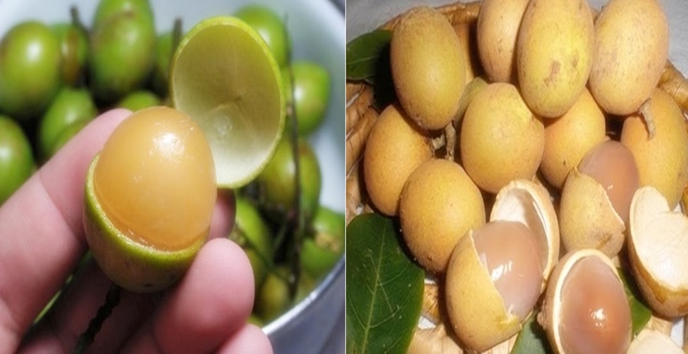 Todo para Nosotras: Esta increíble fruta, cura el insomnio y restaura ...