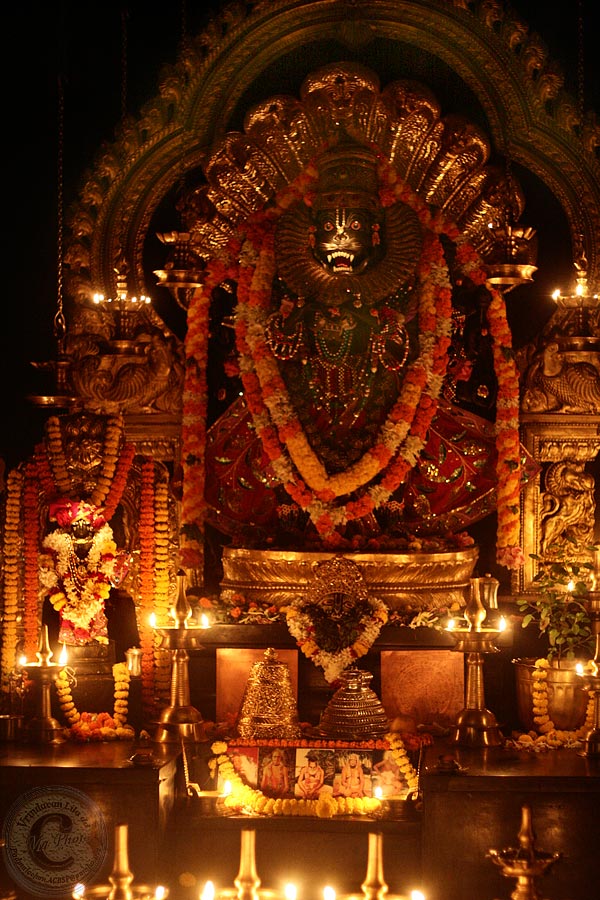 MY WORLD: lakshmi narasimha swamy