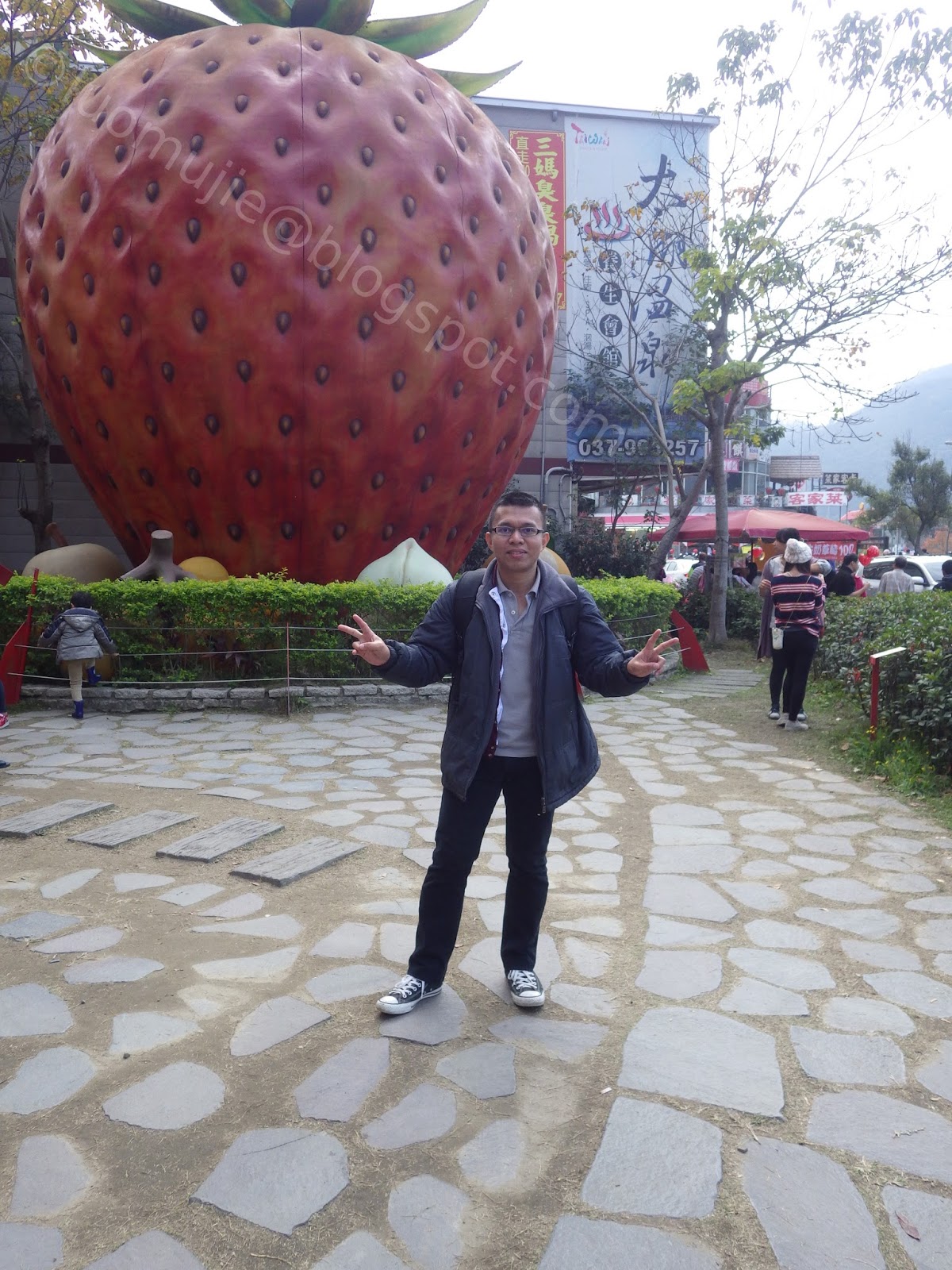 Strawberry Picking in Dahu (大湖),Miaoli (苗栗) - Dahu Wineland Resort (大湖酒 ...