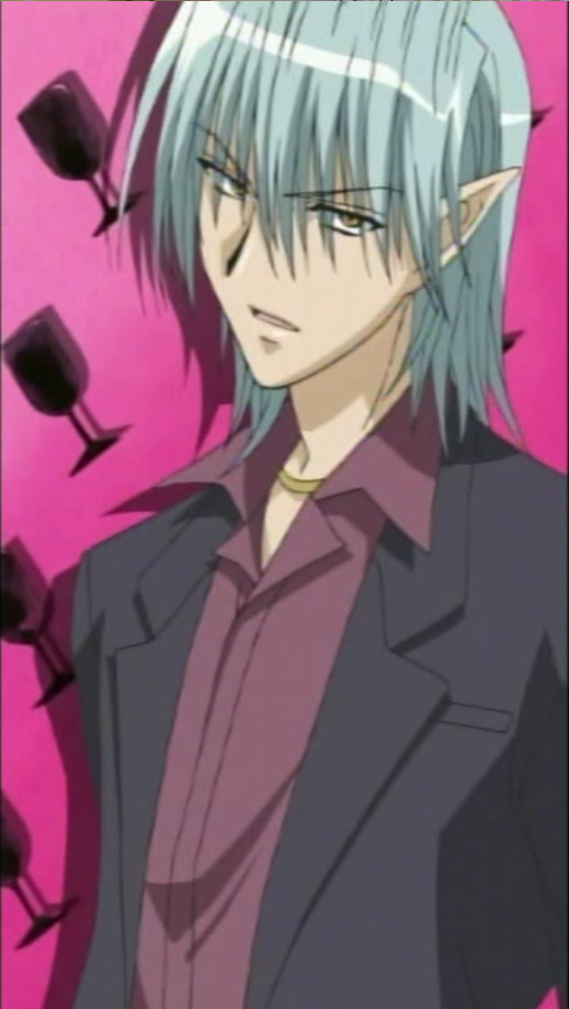 Animes e HQs.com: Anime: Chibi Vampire Karin