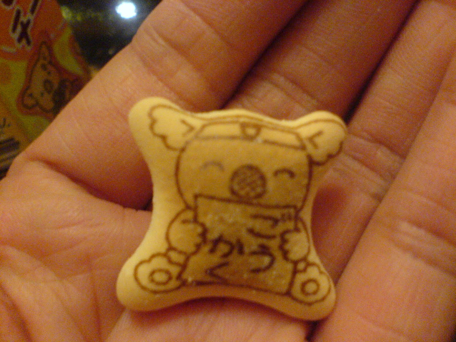 Feed Dri: Koala Cookies