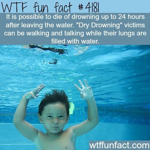 40 Amazing WTF Fun Random Facts | Amazing WTF Facts