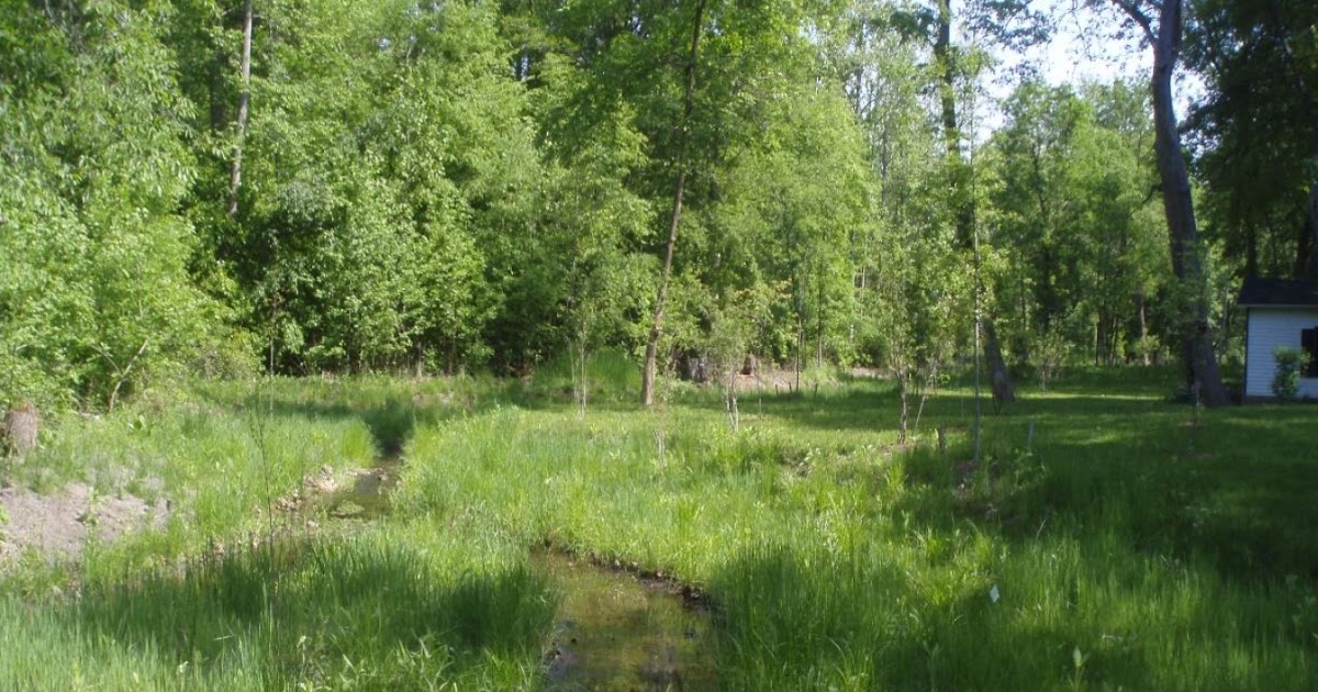 PA Environment Digest Blog: Establishing Riparian Buffers In Urban ...
