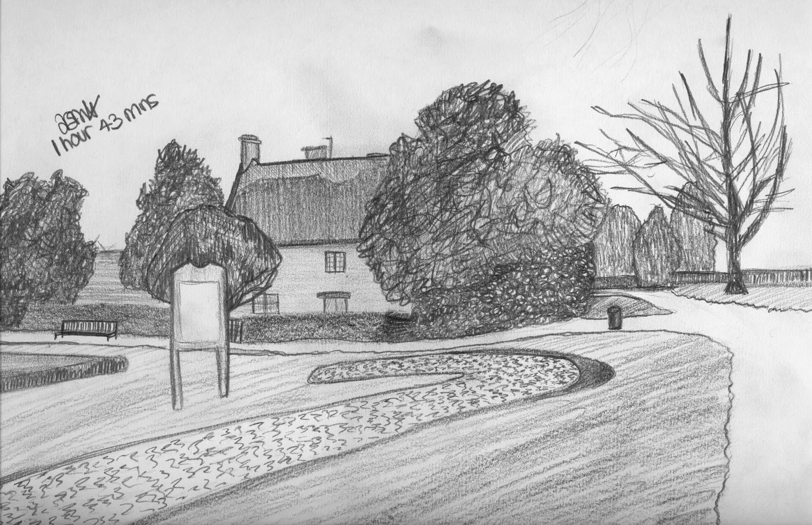 Observational Drawing