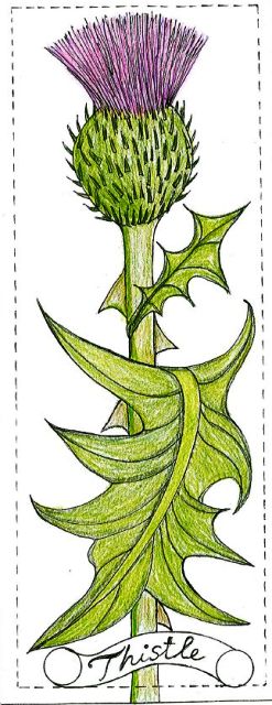 Esther's Design Blog: February 2013