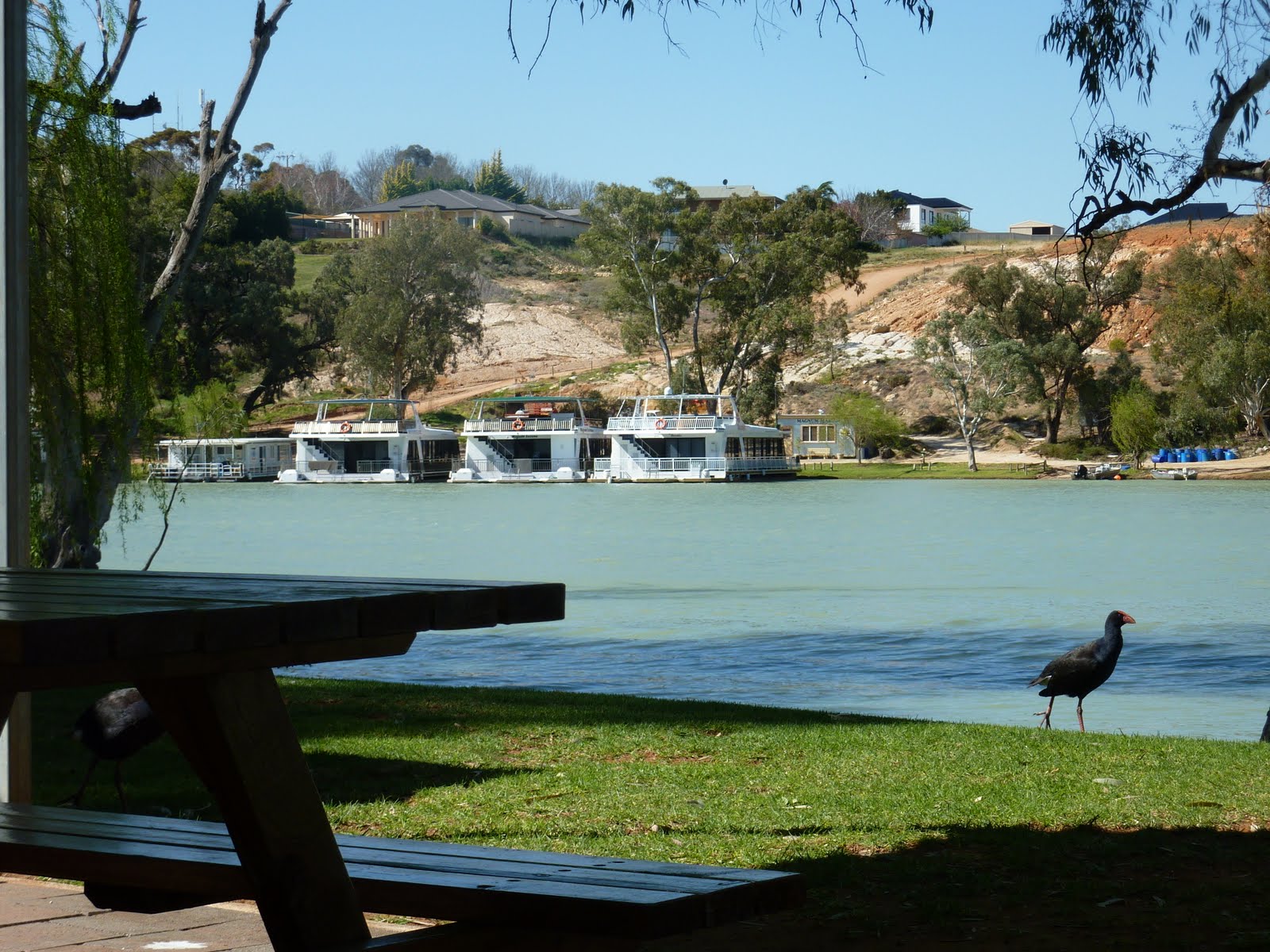 Park Australia: River Bend Caravan Park in Renmark has new owners.....