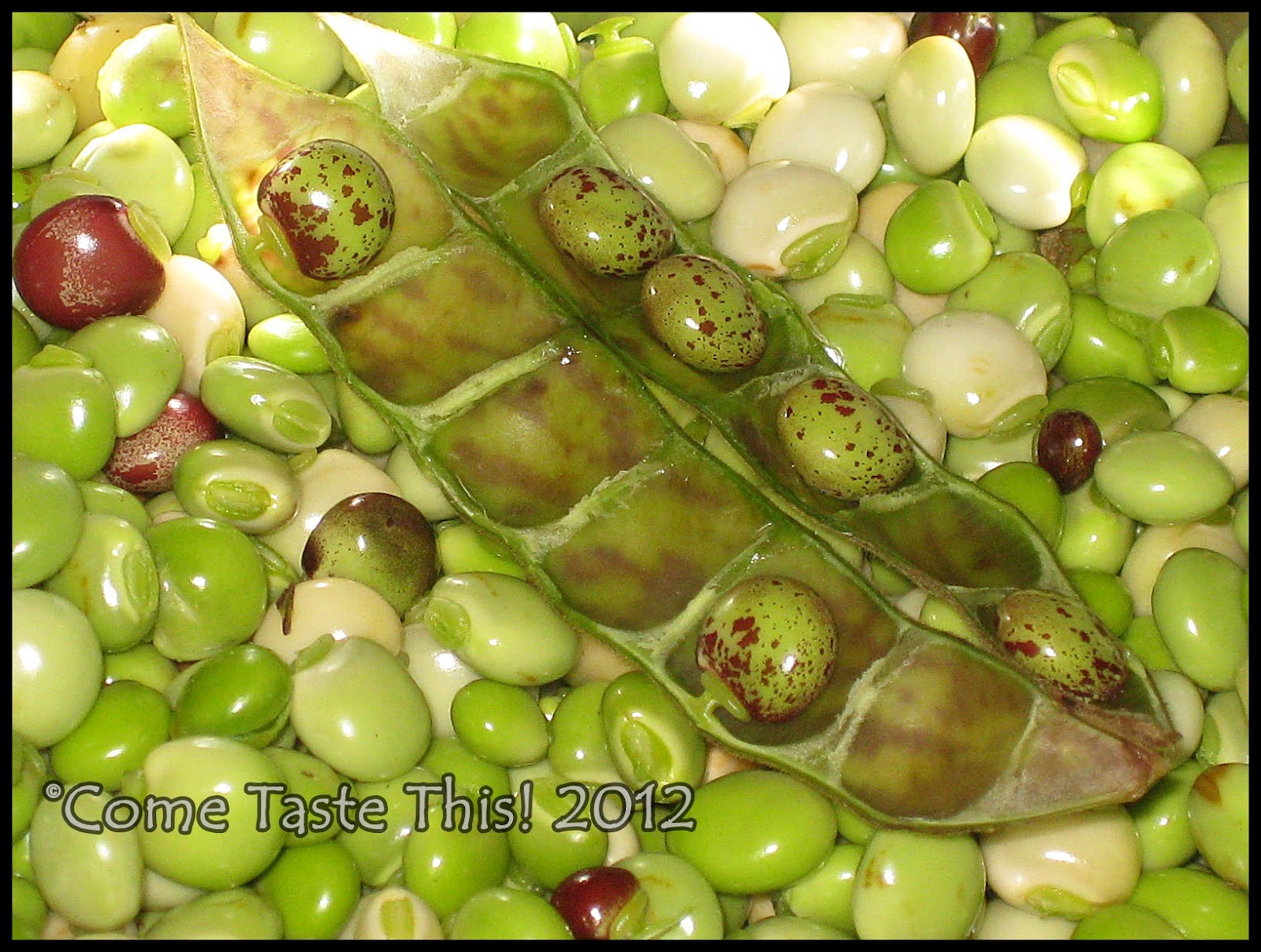 Come Taste This!: Pigeon Pea Soup: Just like Granny used to Make!