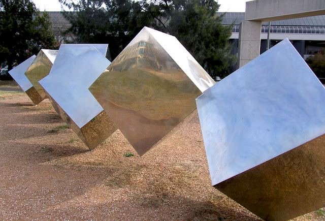 Daily Photo Canberra: Shiny