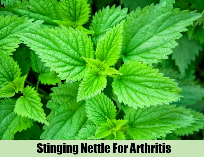 11 HERBAL REMEDIES FOR ARTHRITIS ~ Mzizi Mkavu