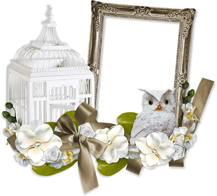 ForgetMeNot: Owls Frames
