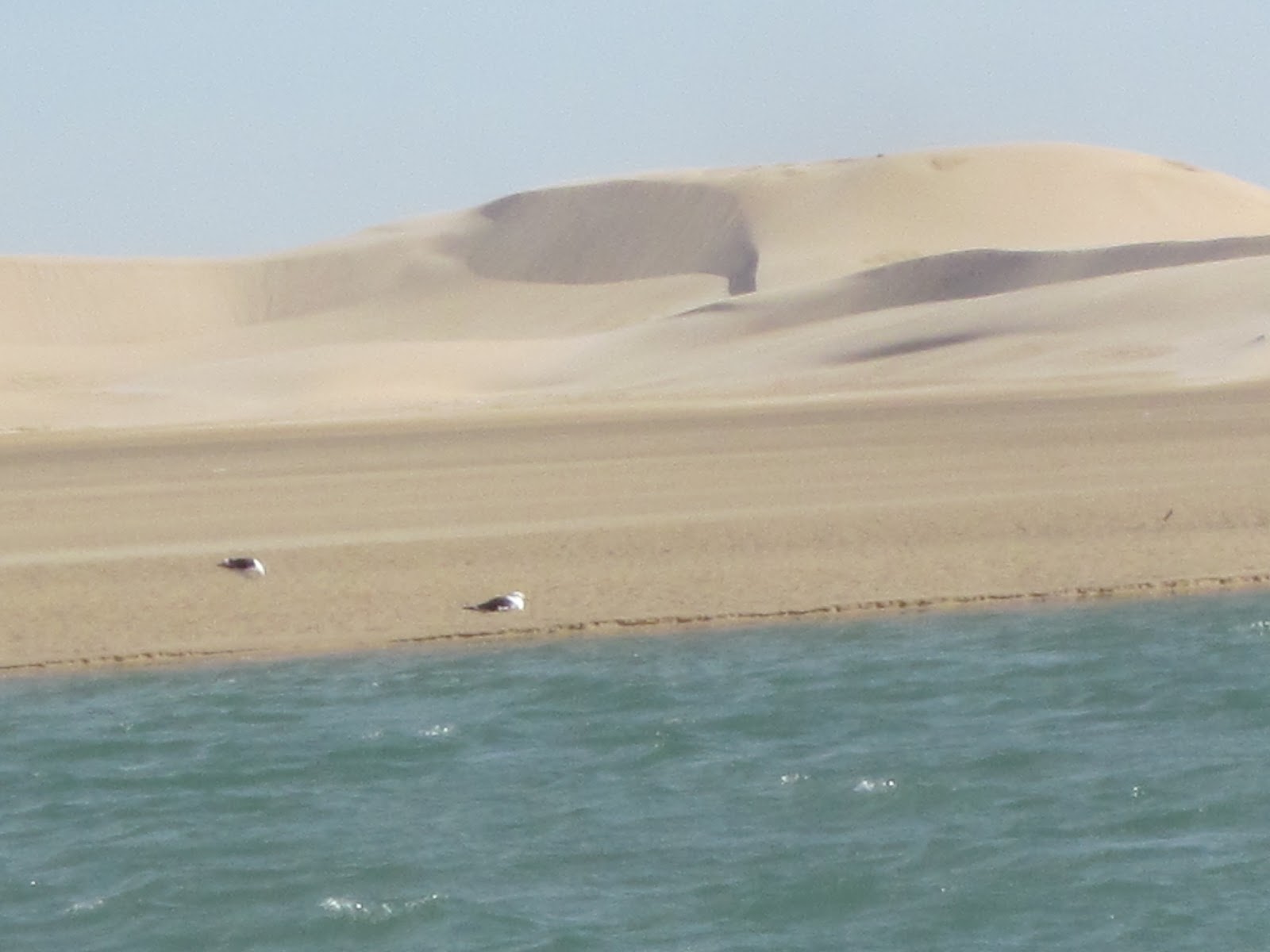 Tough Love Travel: Swath of Sand in South Africa: the Gamtoos River ...