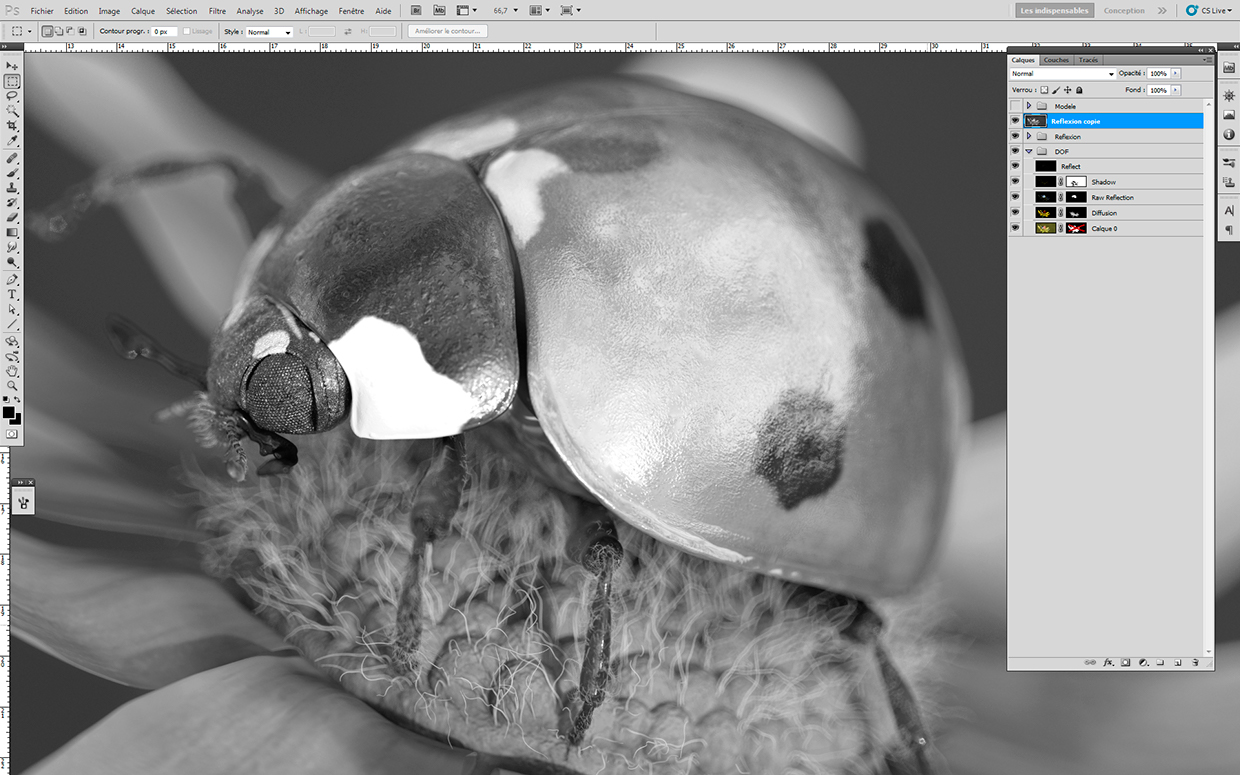 Ladybug Journey | Computer Graphics Daily News