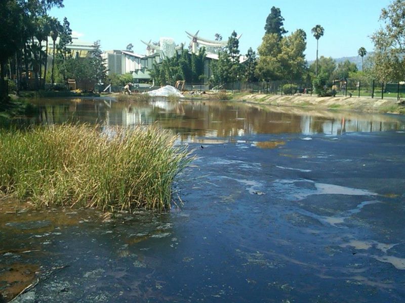 Throwback Thursday; La Brea Tar Pits, Wilshire Boulevard