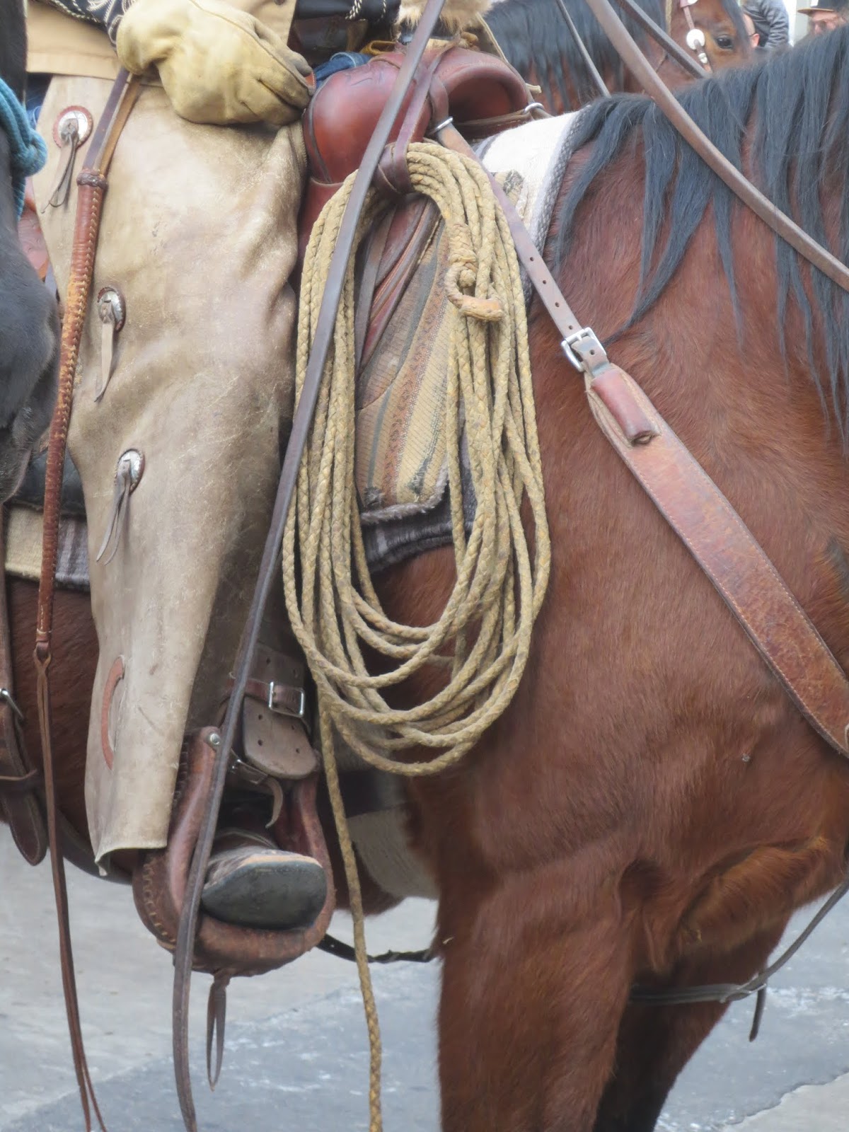 French Country Style from the Foot of the Rockies: Western Parade ...