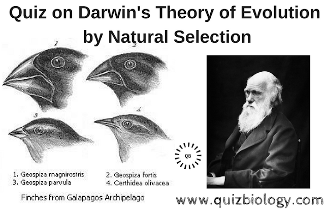 Quiz on Darwin's Theory of Evolution by Natural Selection