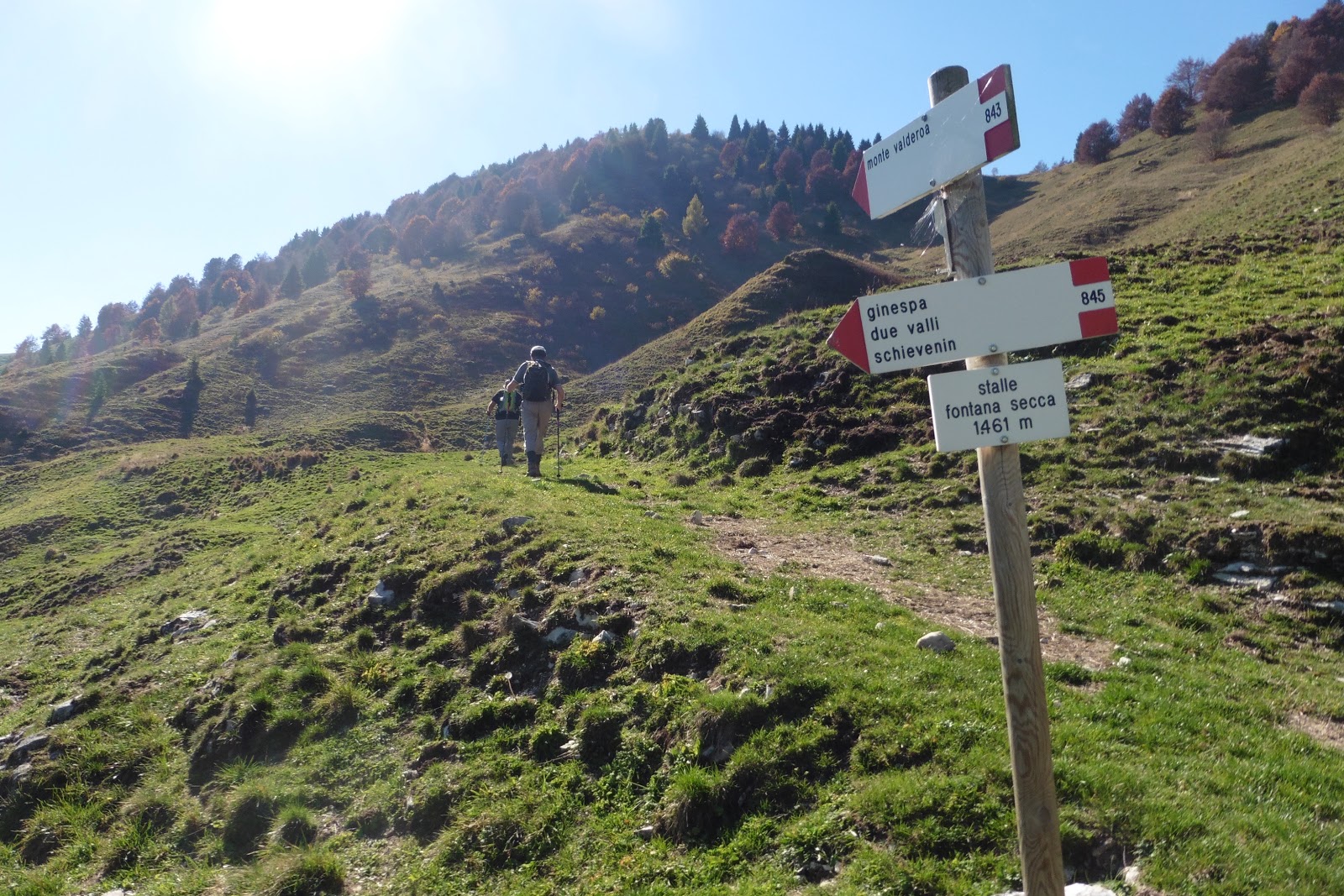 Su strade e sentieri: MONTE GRAPPA: giro delle malghe