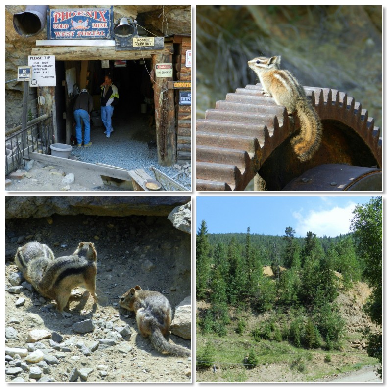 Install Phoenix Miner Windows Movie