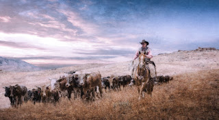 MOSHE: Western Series of Textured Photographs