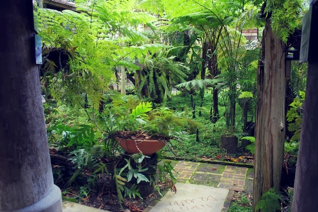 Market of Eden: Overnight Escape at Fern Paradise
