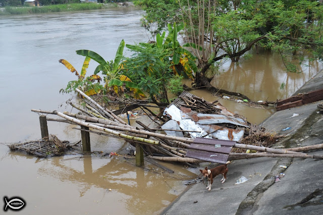 Zuriel Shots: Agno River