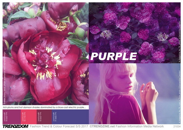 FASHION VIGNETTE: TRENDS // TRENDZOOM - TREND + COLOUR FORECAST S/S 2017