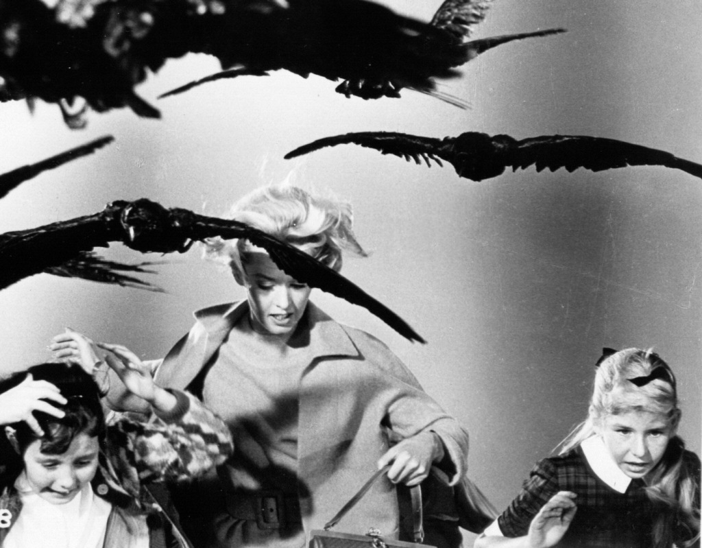 20 Amazing Publicity Photographs of Tippi Hedren for 1963 Horror ...
