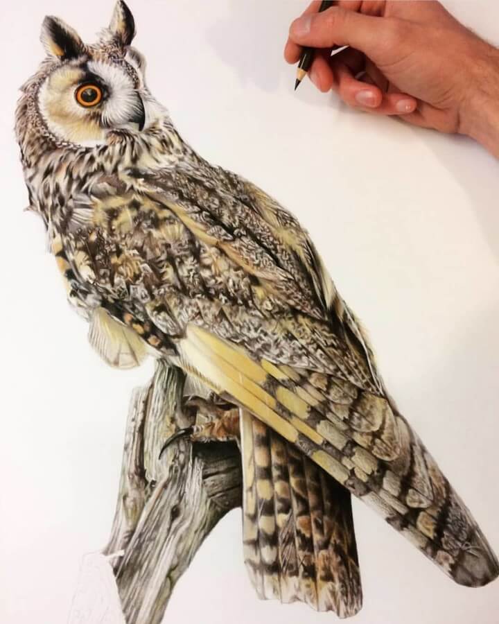 Design Stack: A Blog about Art, Design and Architecture: Wild and ...