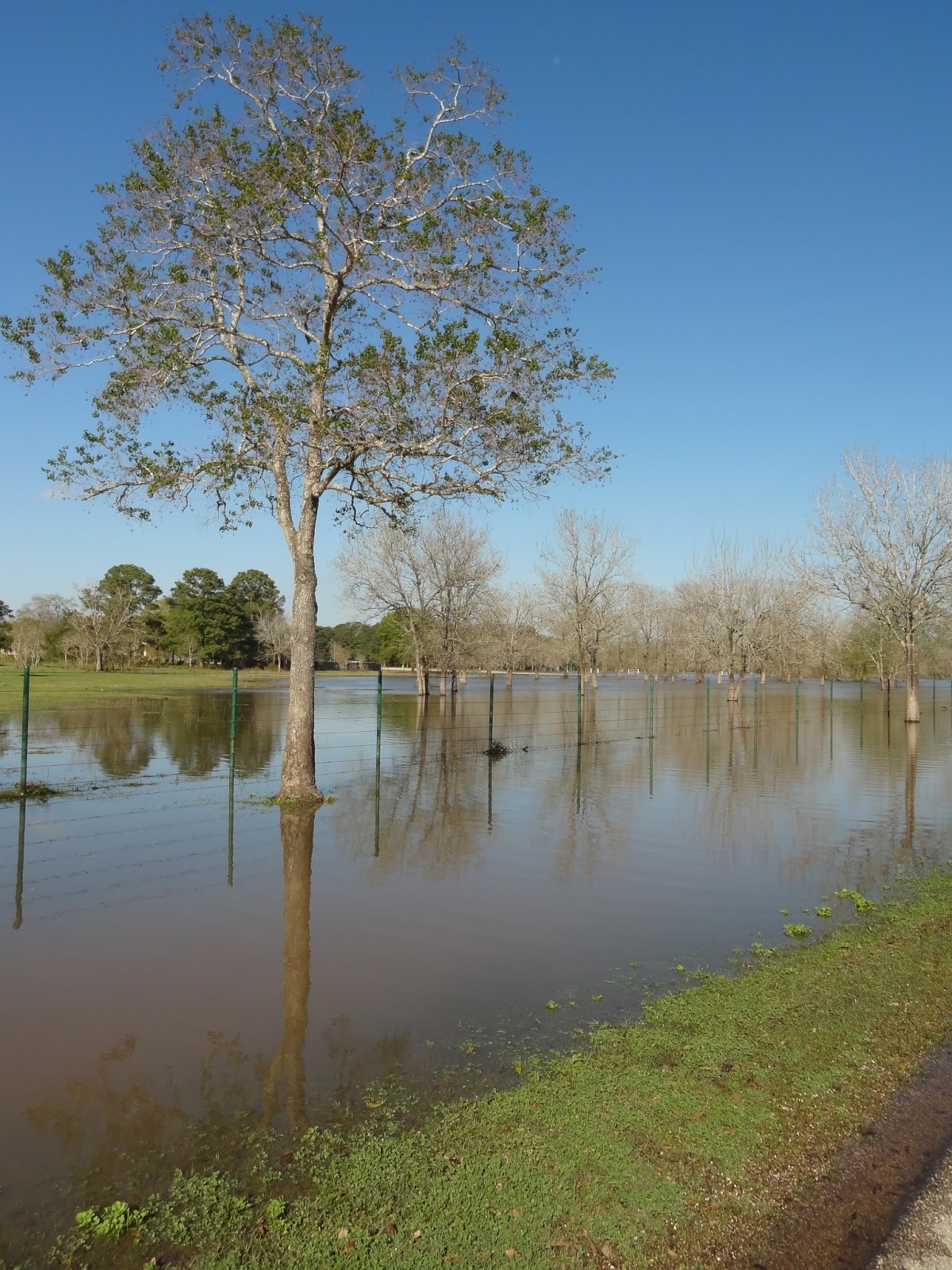 H-Town-West Photo Blog: Patterson Road in Addicks Reservoir under water ...