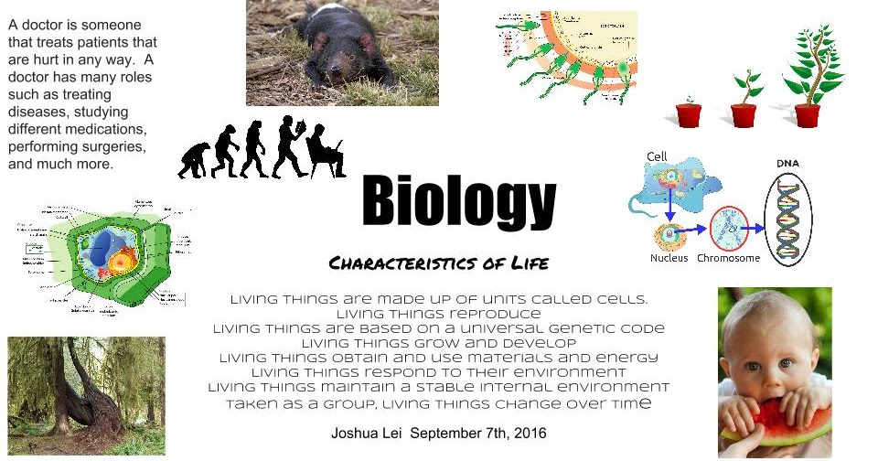 Joshua's Biology Blog: What is Biology? Collage