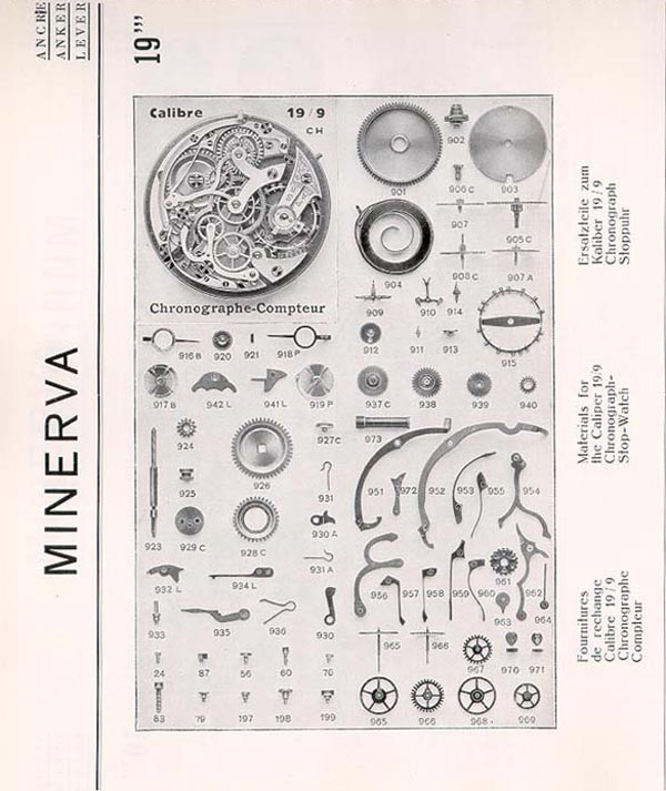 History of Minerva, from its foundation to the integration into ...