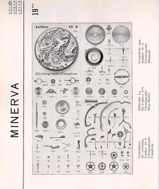 History of Minerva, from its foundation to the integration into ...