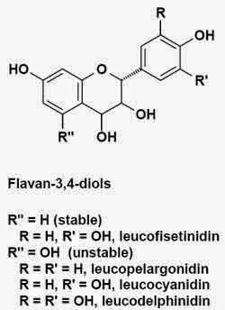 CONDENSED TANNIN STRUCTURAL CHEMISTRY