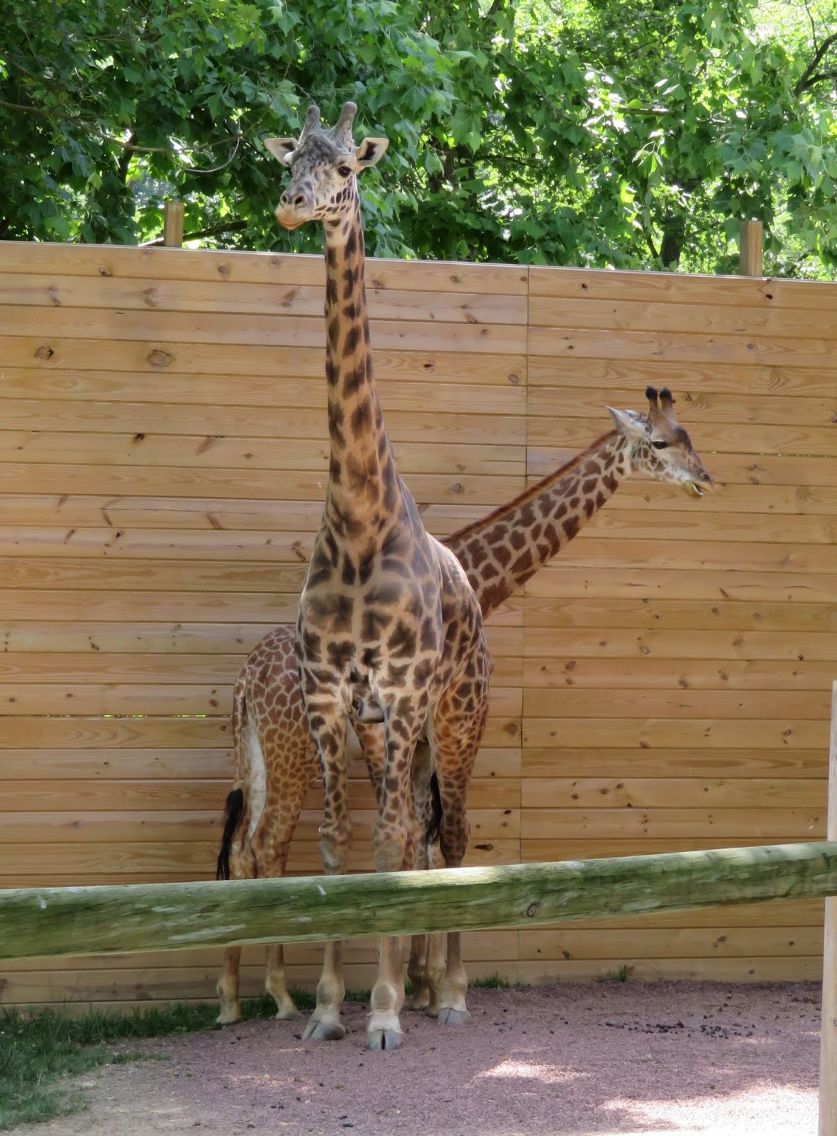 Randuwa II: Lehigh Valley Zoo - Schnecksville, PA: part 3 of 5 (from ...