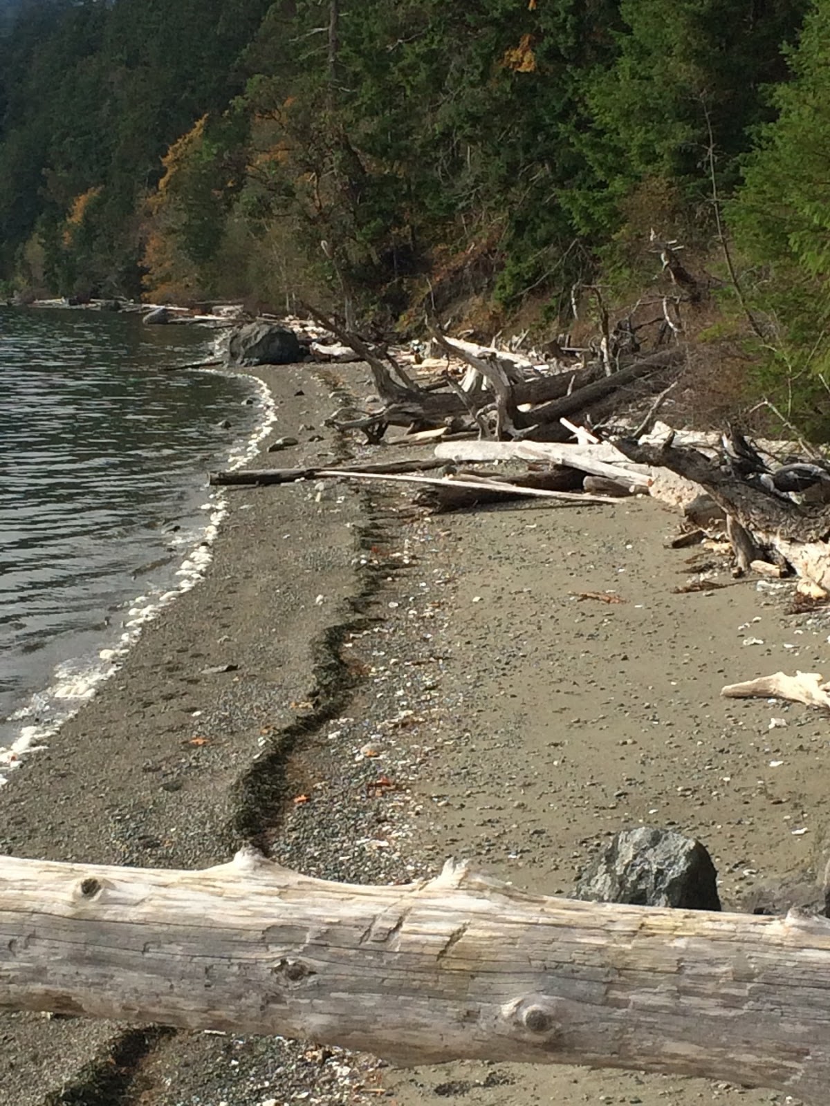 Gravel Beach: Dabob Bay