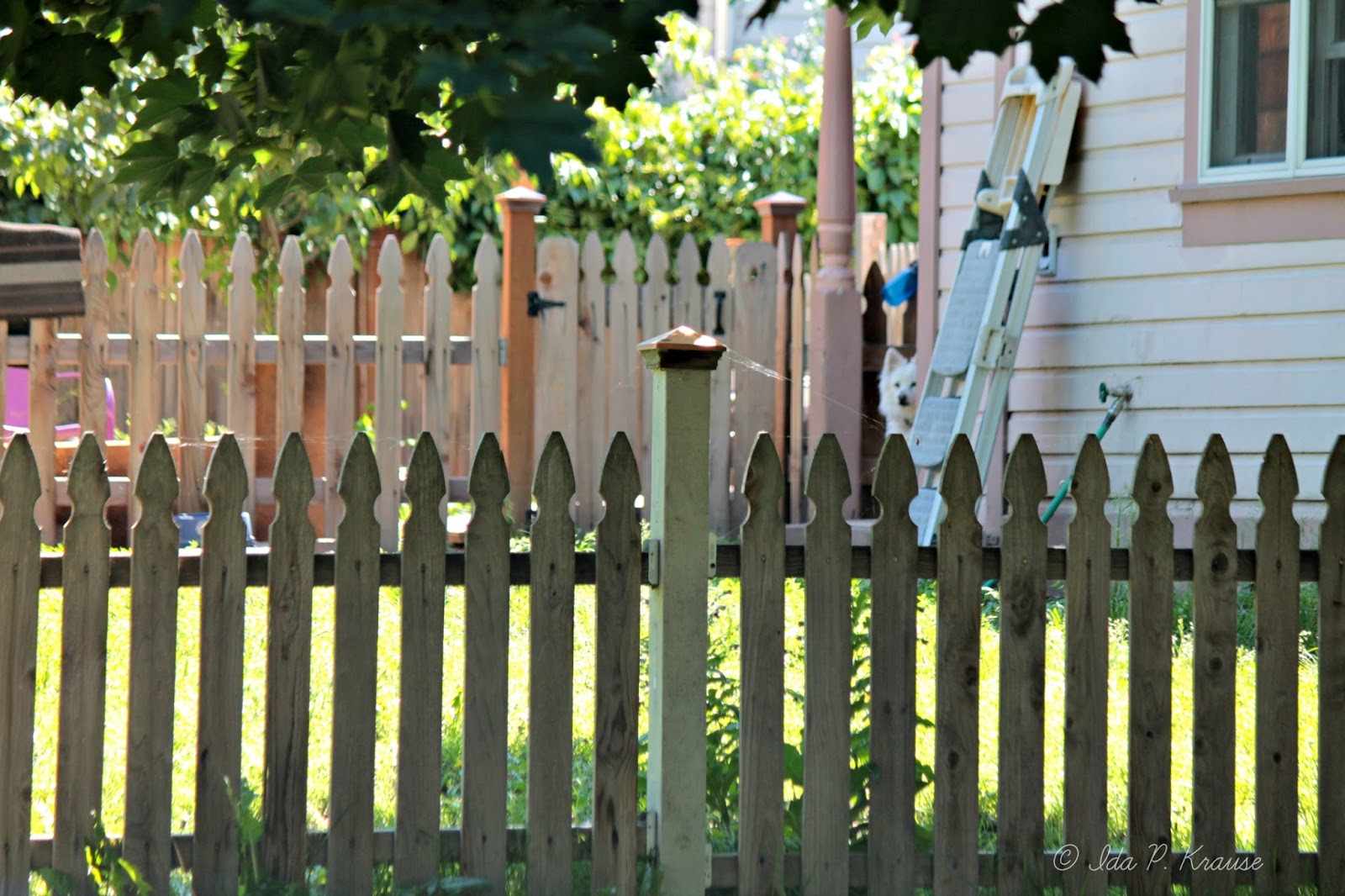 Wishes, Dreams & Other Things: Good Fences #113 - A Romantic Fence
